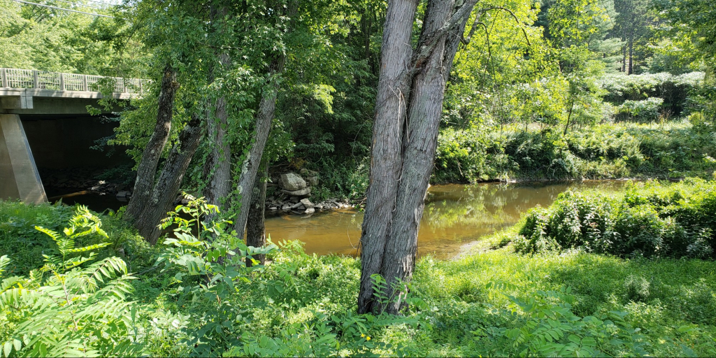 Temple Stream | Lillian Lake